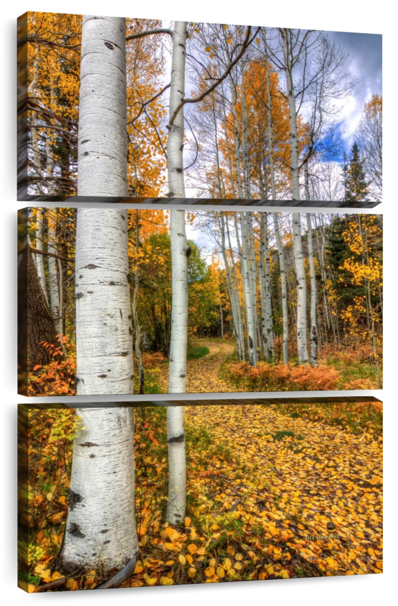 Lark Manor™ Harnek An Autumn Stroll | Wayfair