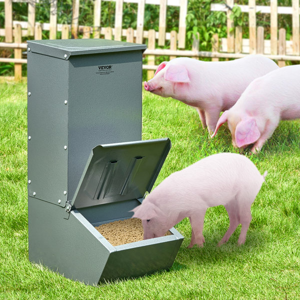 Archie & Oscar™ Hog Feeder 2.2 Bushel Metal Double Door Pig Feeder ...