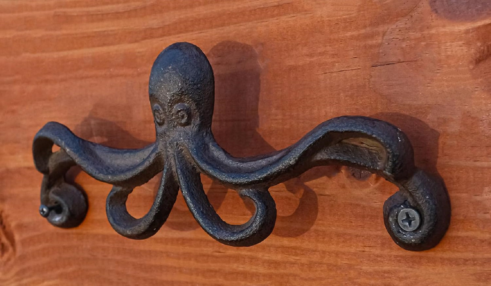 Rosecliff Heights Set Of 4 Cast Iron Rustic Marine Sea Octopus Drawer ...