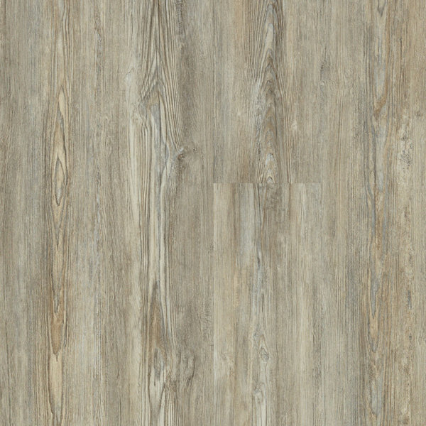 SAMPLE - Cathedral Plus Pine WPC Luxury Vinyl Plank | Birch Lane
