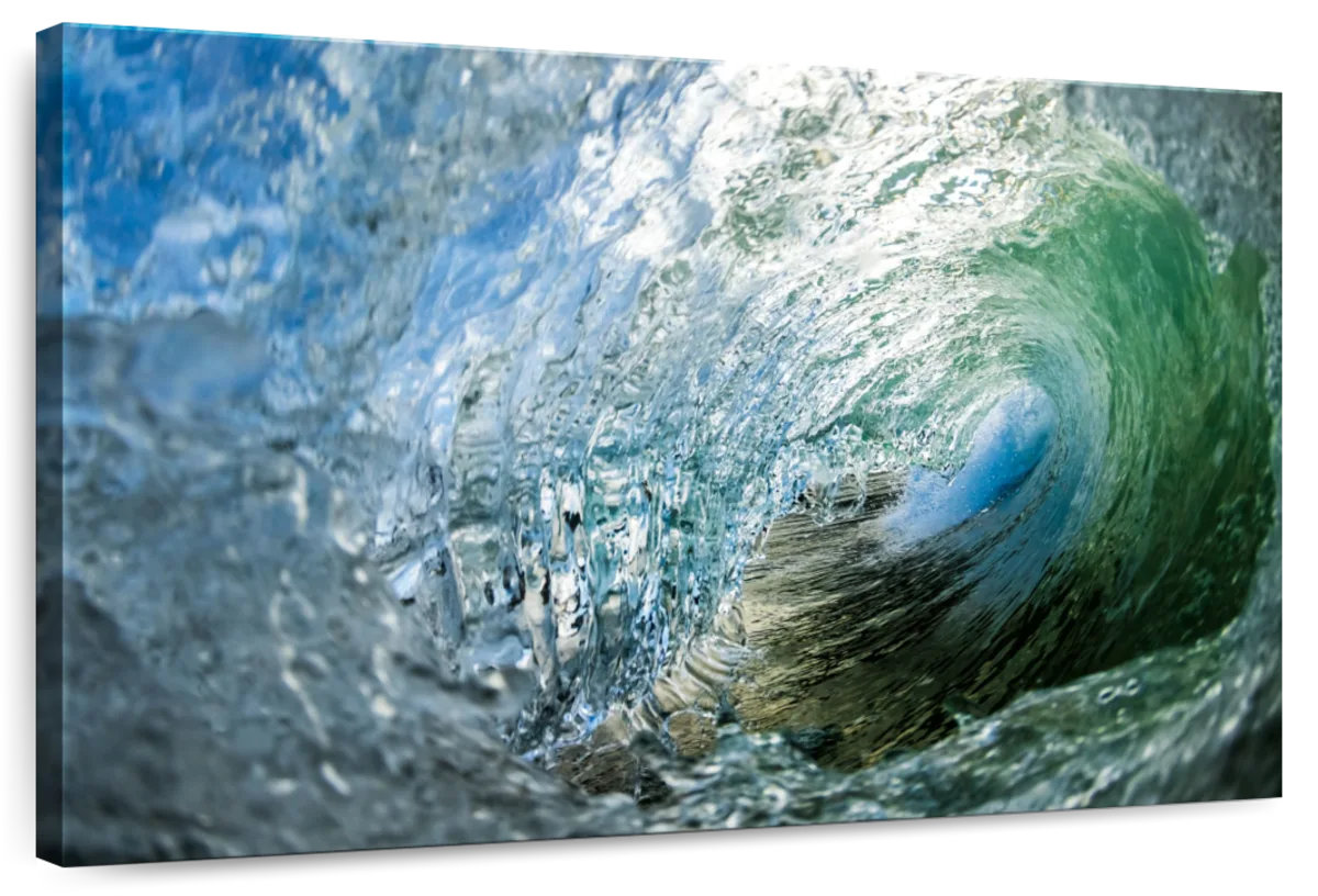 Elephant Stock Inside The Ocean Wave | Wayfair