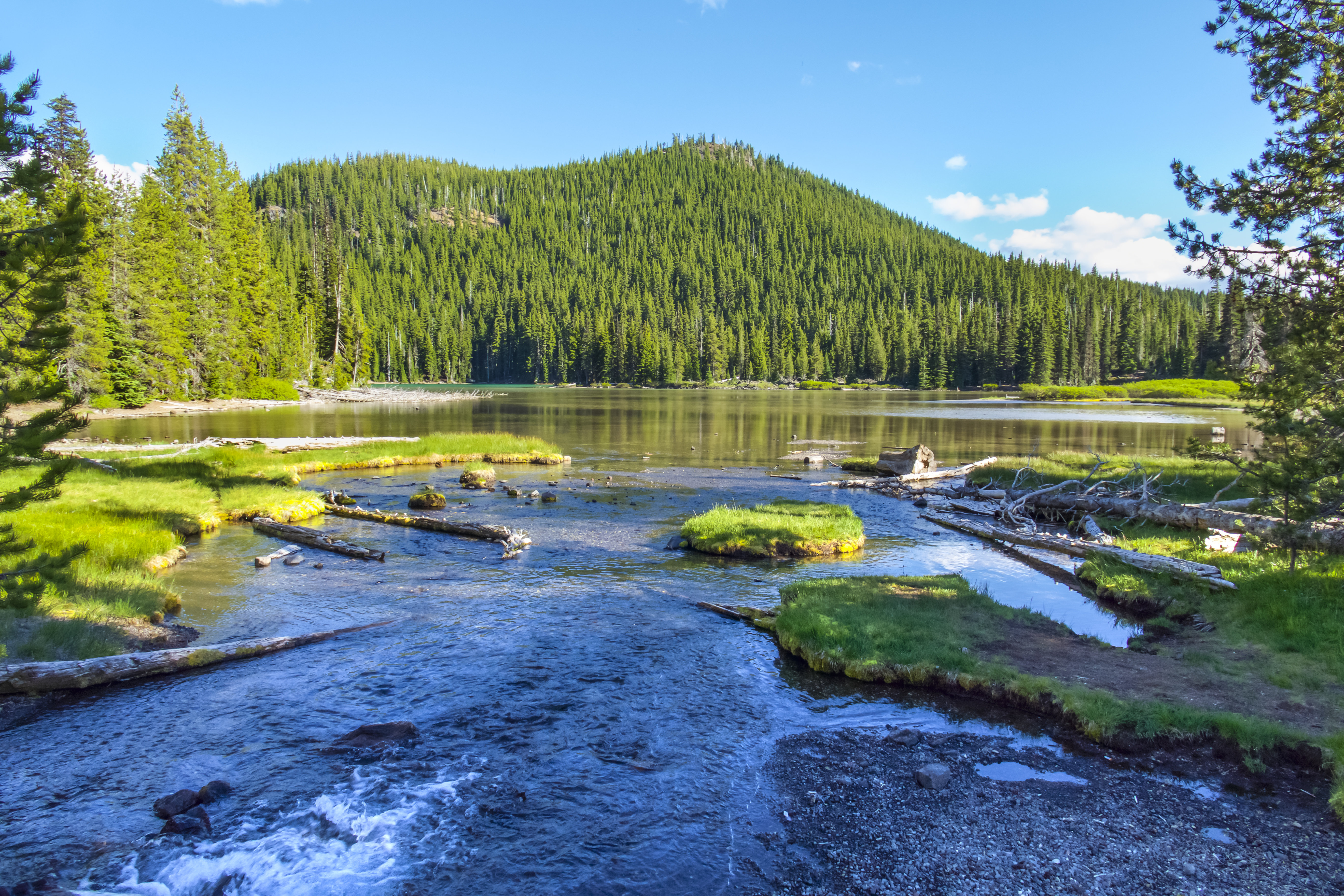 Alpen Home Lake, Forest, Hills by JamesBrey - Print | Wayfair.co.uk