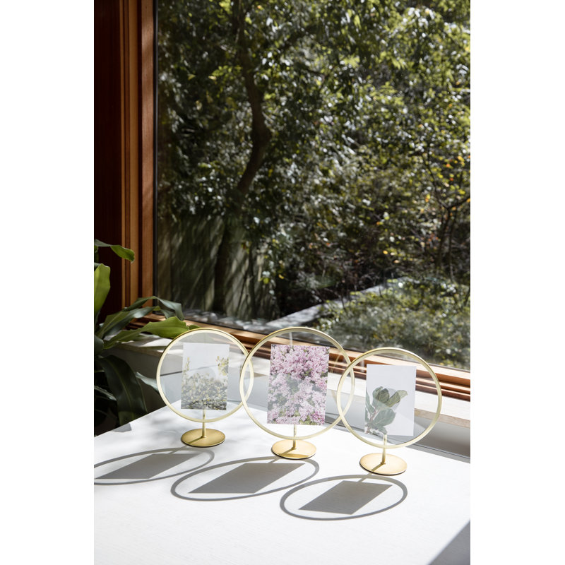 Umbra Metal Picture Frame & Reviews | Wayfair