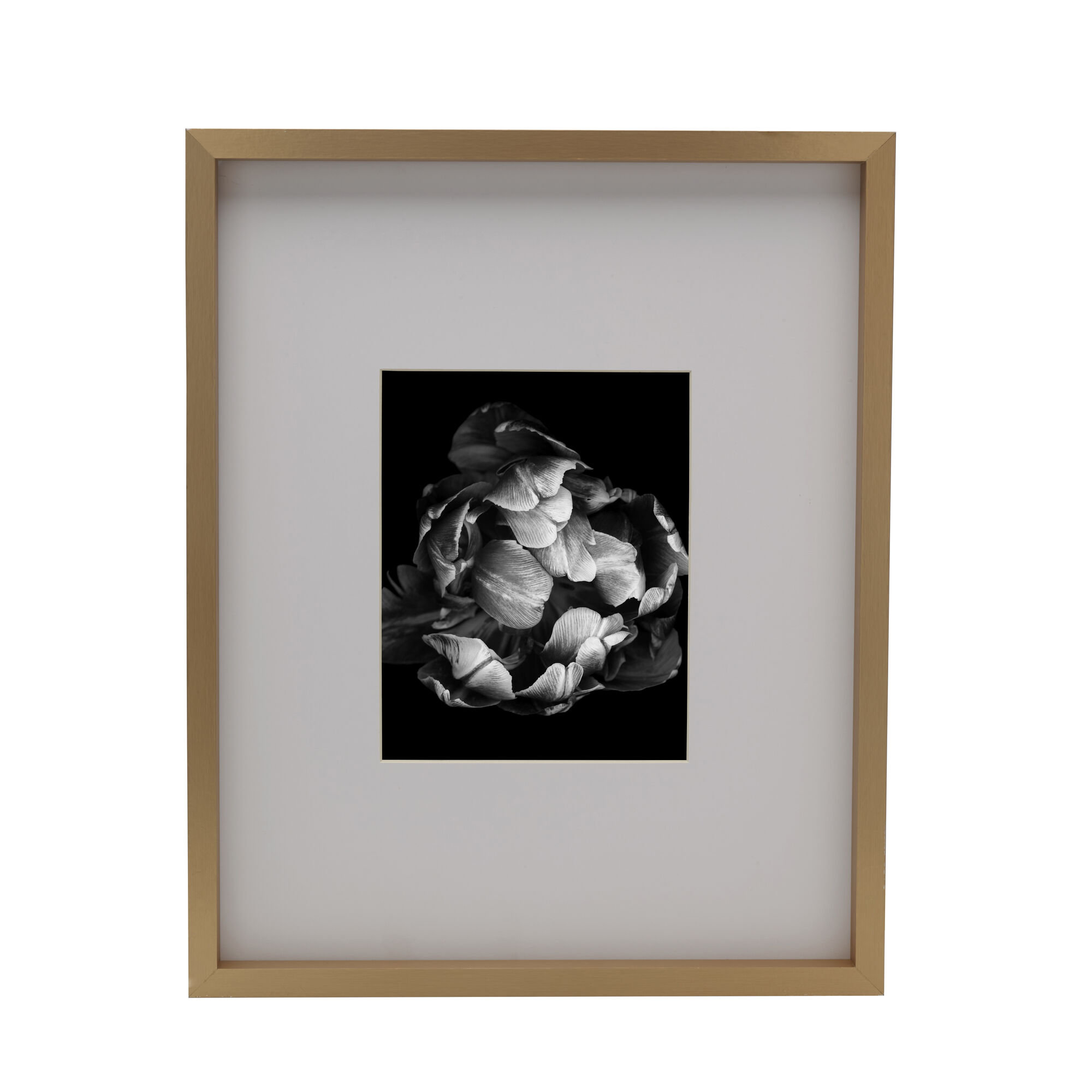 Mikasa Gallery Frame, 16 X 20 (Matted 8 X 10) & Reviews | Perigold