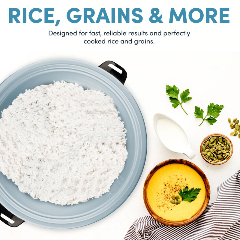 Aroma 40-Cup Commercial Rice Cooker And Warmer | Wayfair