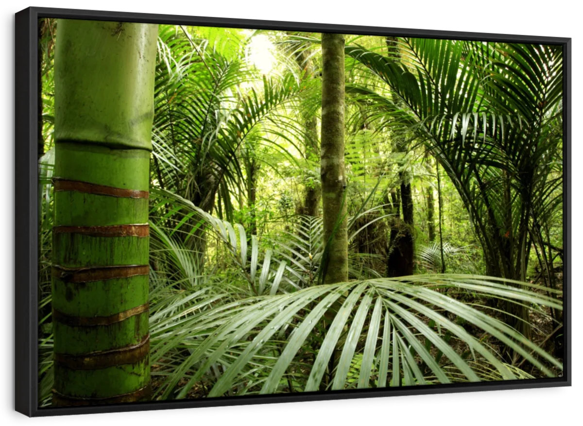 Loon Peak® Nature " Into The Jungle Canvas Print " | Wayfair