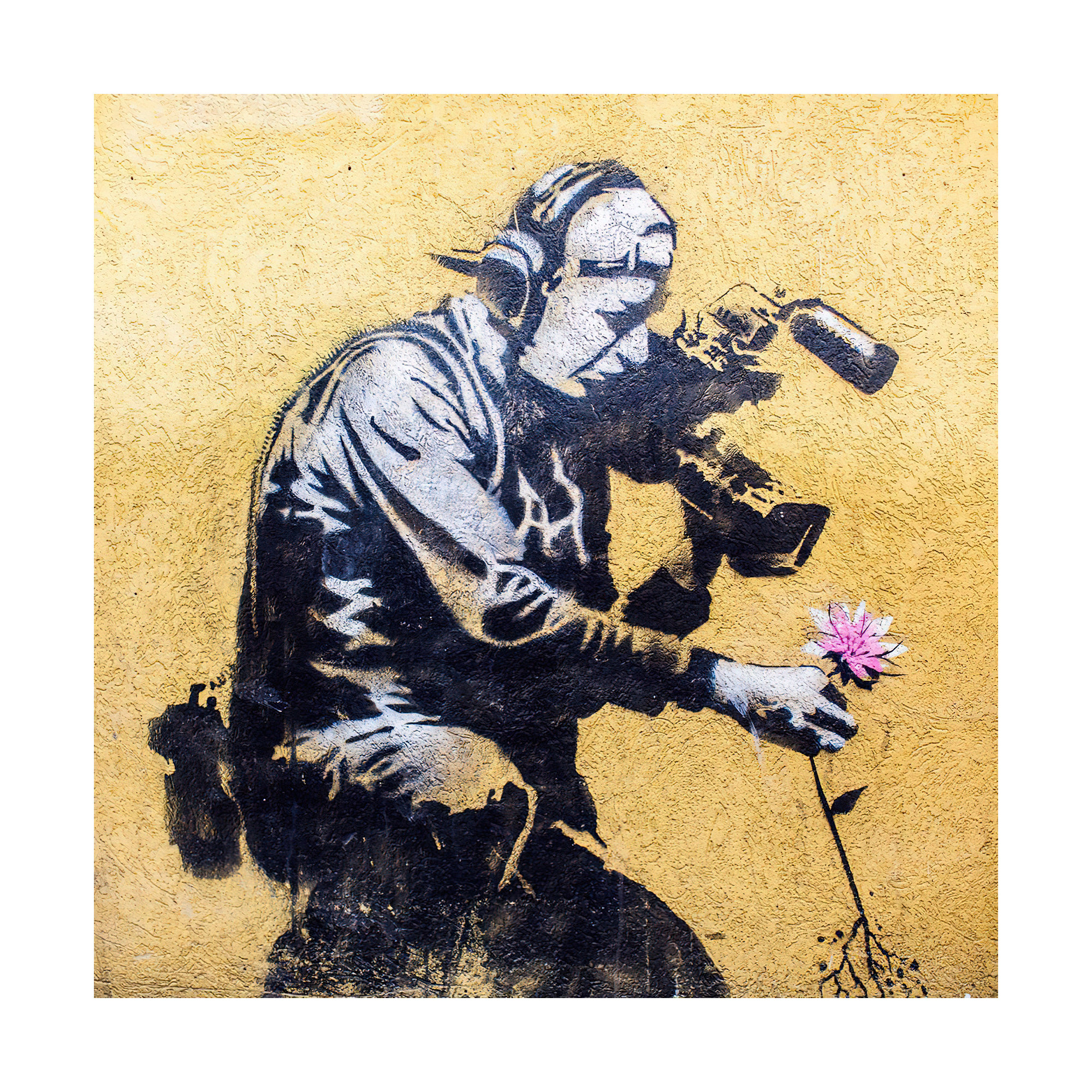 Hokku Designs Large Floral Motif Printed Rug with Soft Pile Ideal for ...