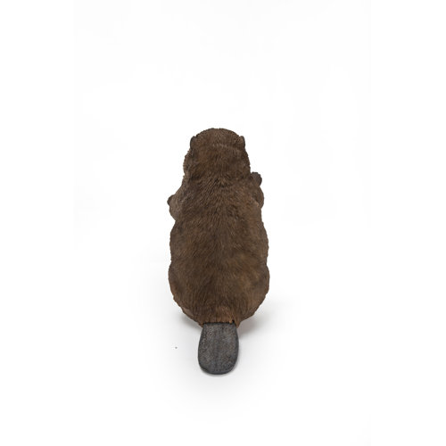 Hi-Line Gift Ltd. American Beaver Cub Standing Statue | Wayfair