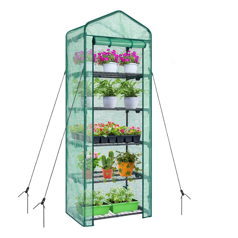 IDIABA Mini Greenhouse for Indoor Outdoor: Small Plastic Plant Green ...