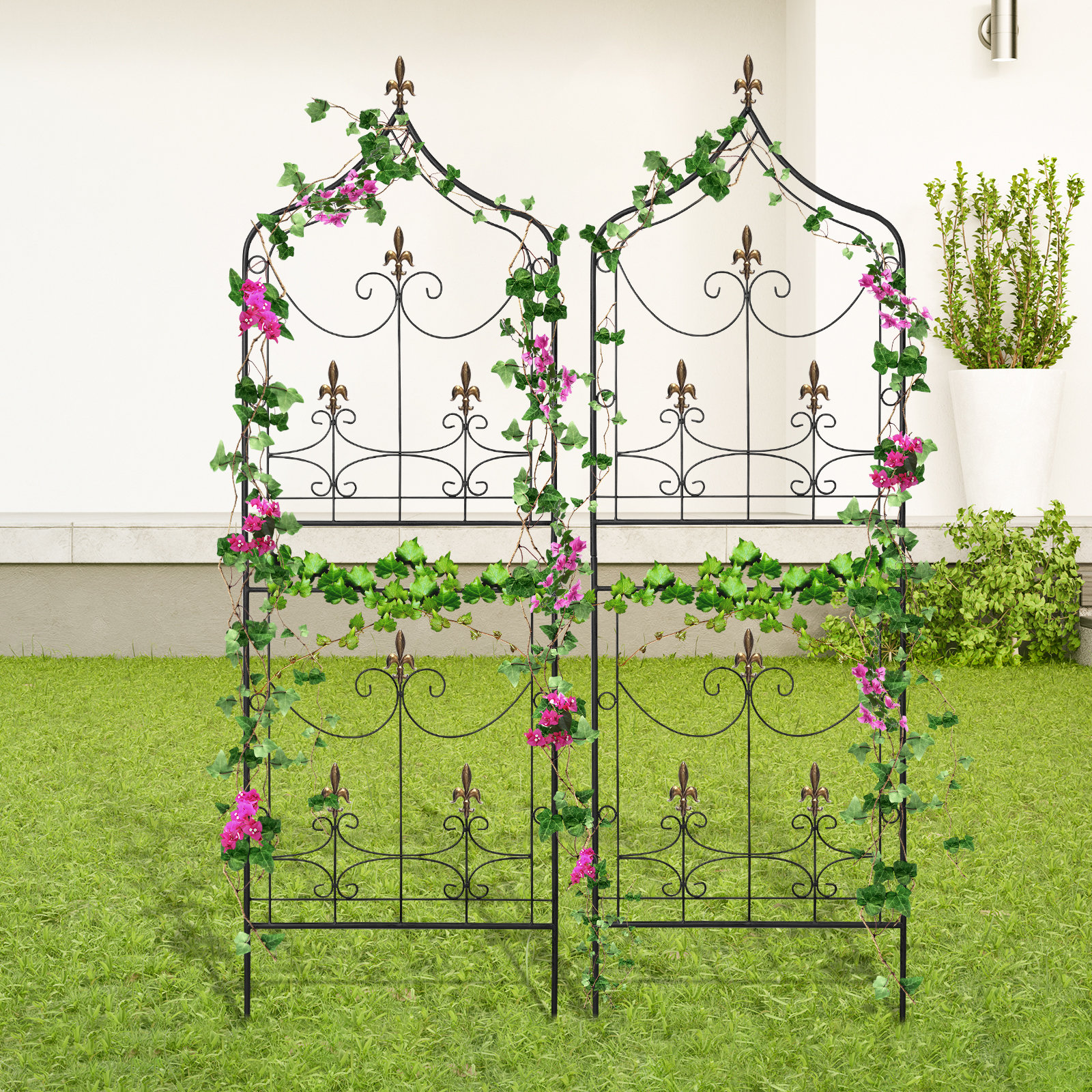 Wildon Home® Fabozzi 63'' H X 20'' W Metal Garden Trellis for Climbing ...