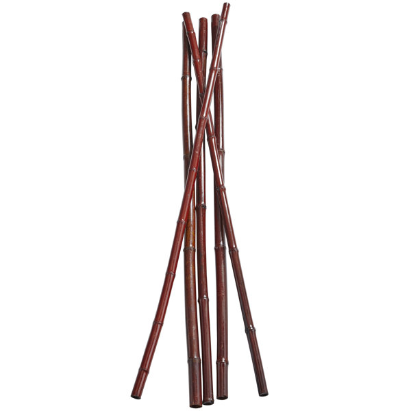 Primrue Dried Plant Sticks Decor Natural Foliage Set & Reviews | Wayfair