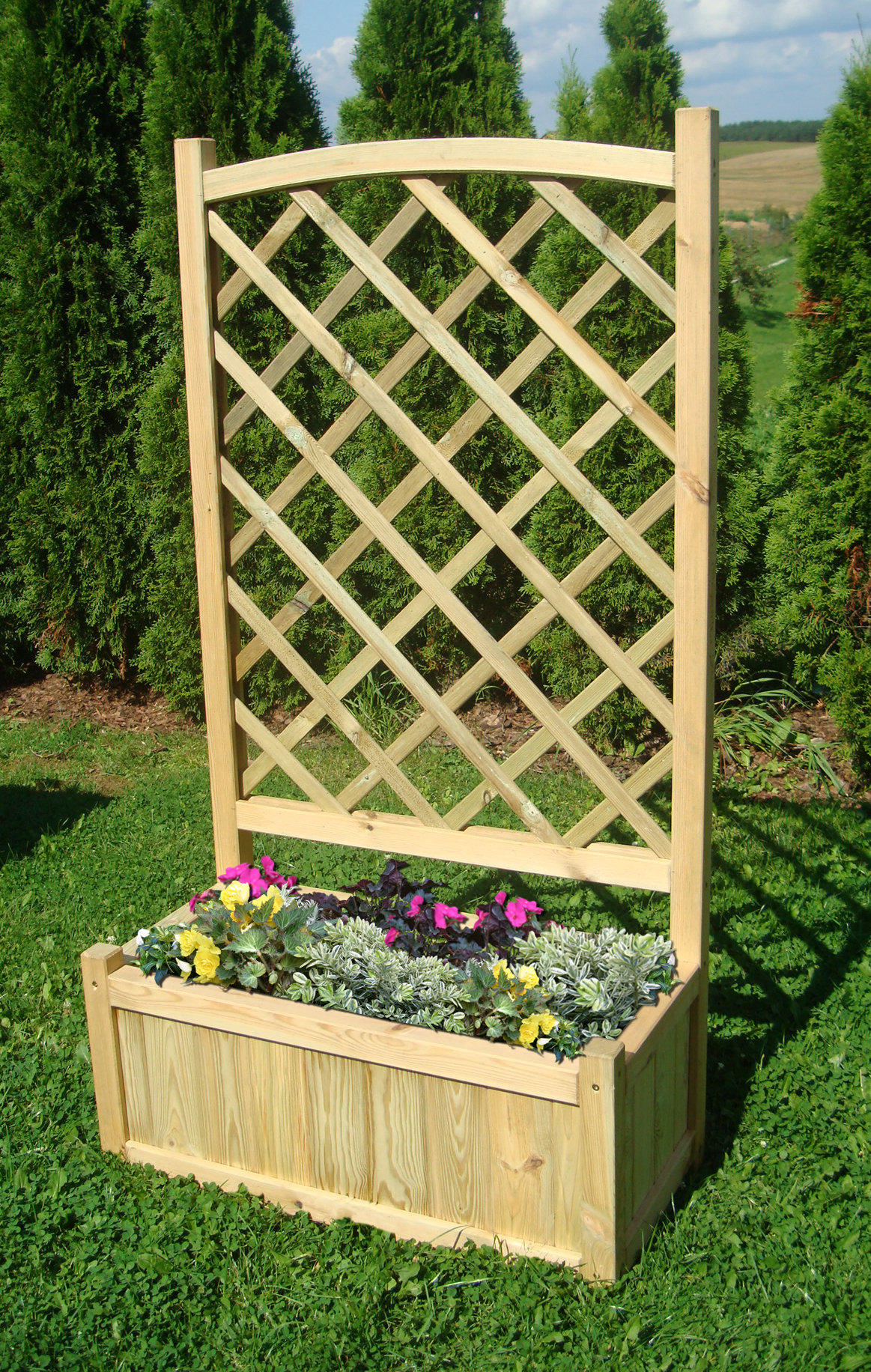 Freeport Park Ayden Wooden Planter Box & Reviews | Wayfair.co.uk