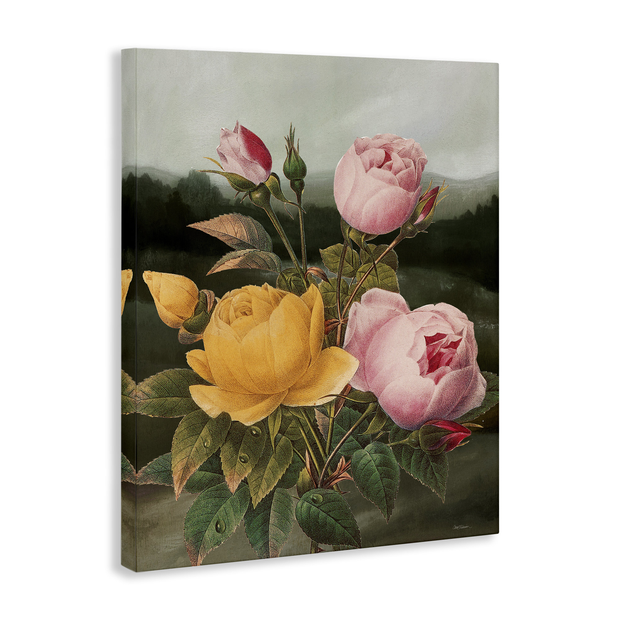 Red Barrel Studio Vintage Peony Blooms Canvas Wall Art by Carol ...