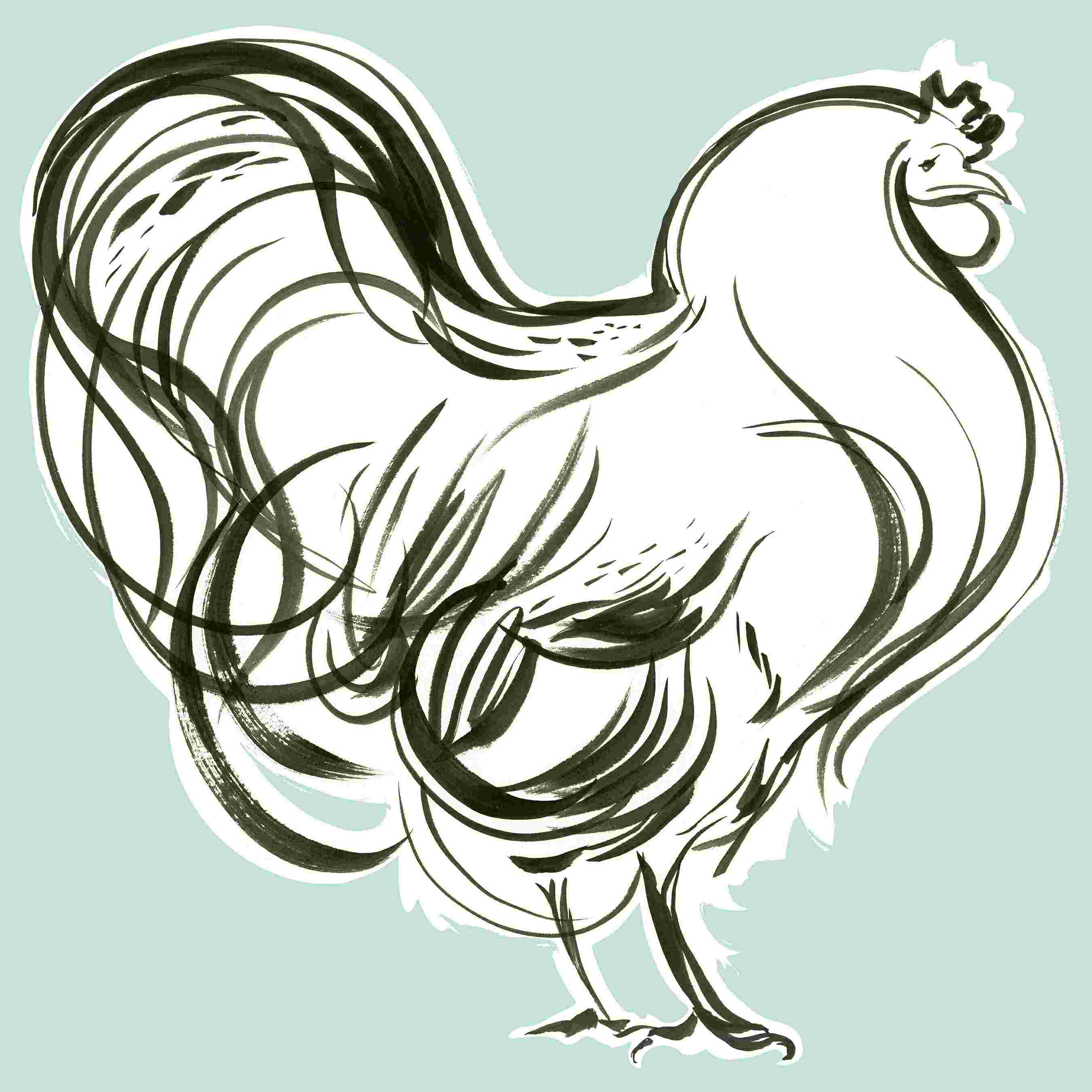 August Grove® Galliformes IV by Laura Marr - Wrapped Canvas Print | Wayfair