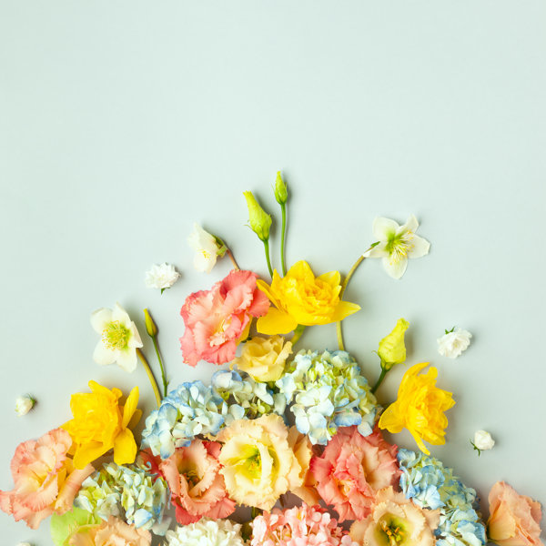 Canora Grey Spring Flowers by Sarsmis - Wrapped Canvas Print | Wayfair ...