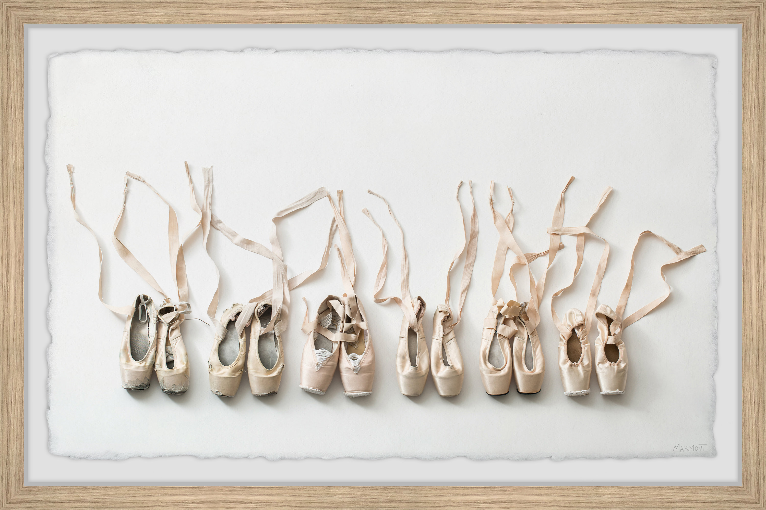 Isabelle & Max™ Geer Ballerina Shoes Framed Print | Wayfair