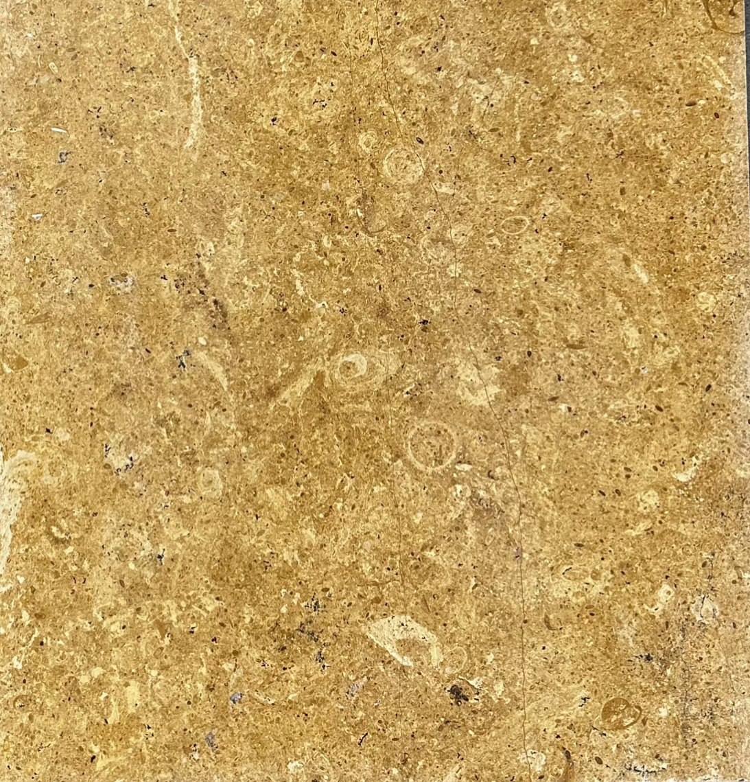 Tileville Carreau de sol et de mur en marbre 12 po x 24 po Inca - Wayfair Canada