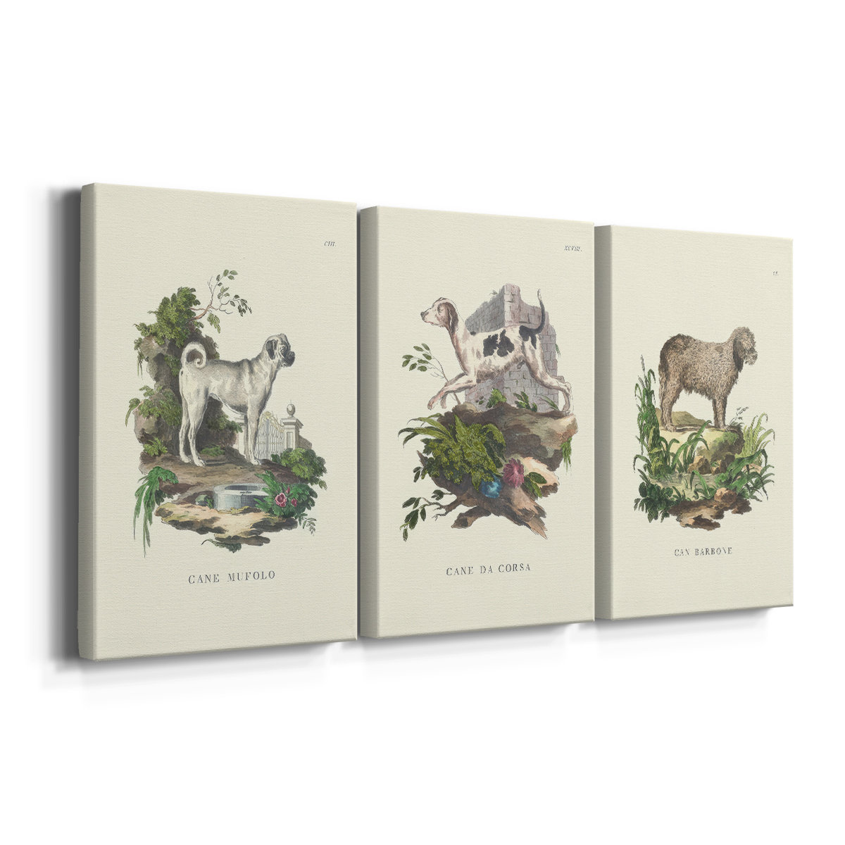 Darby Home Co French Dogs X -Custom Wrapped Gallery Canvas - 3 Pieces ...