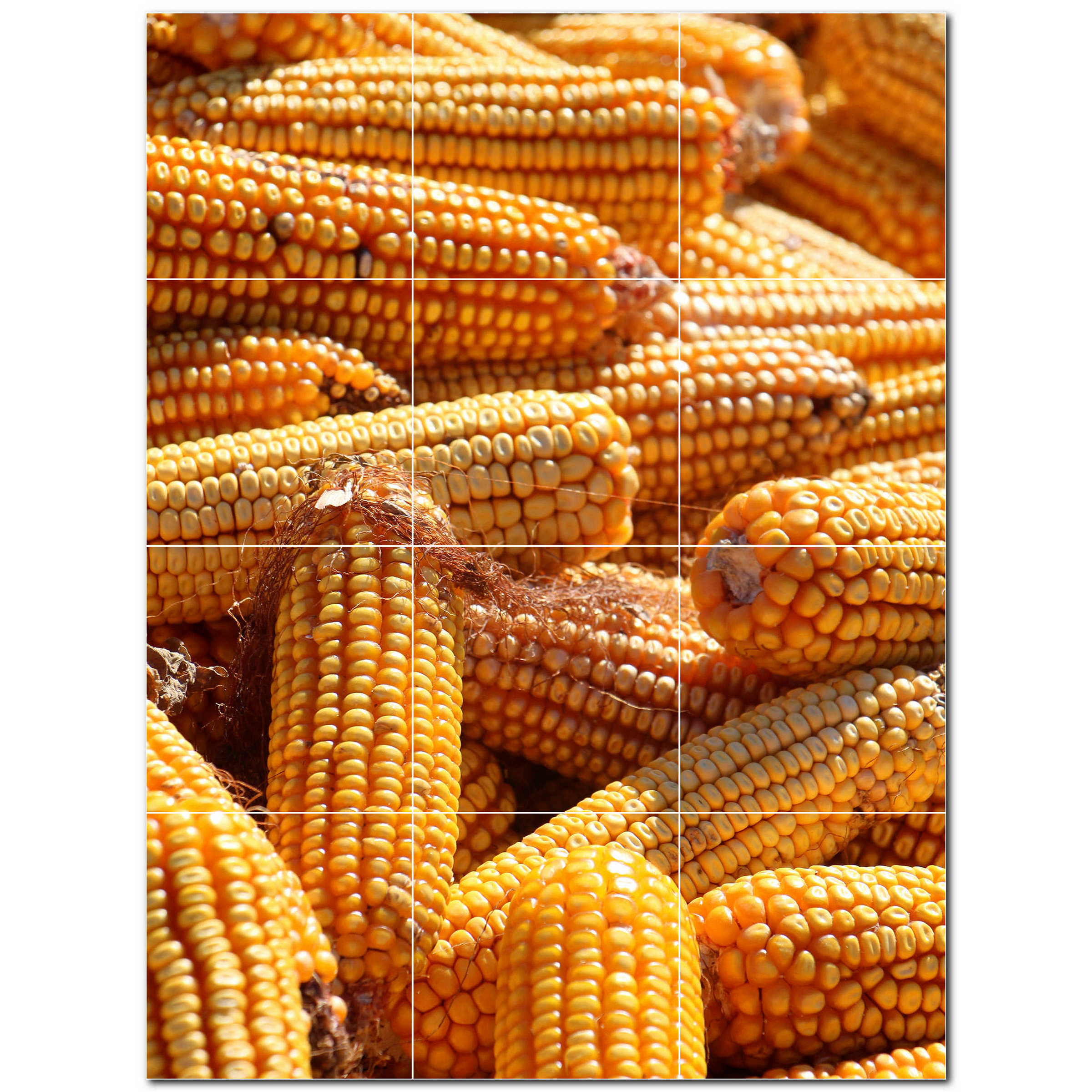 Picture-Tiles.com 24" x 32" Ceramic Farm Photo Decorative Mural Tile ...