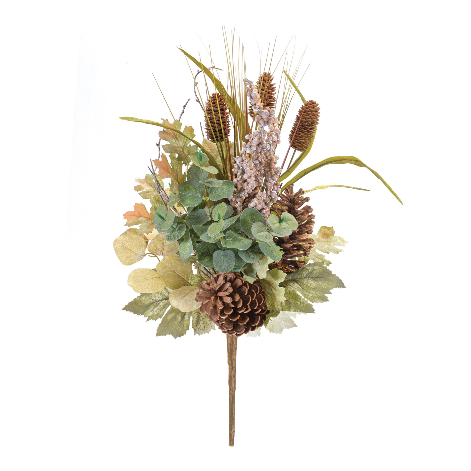 Primrue Fall Foliage Bush | Wayfair