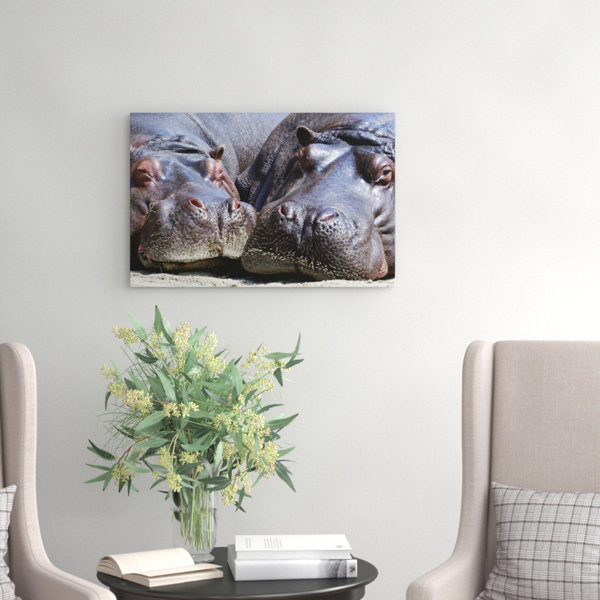 East Urban Home Two Hippos Hippopotamus - Wrapped Canvas Print ...