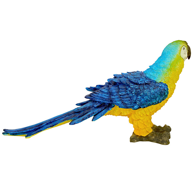 Design Toscano Mortimer the Macaw Tropical Parrot Statue & Reviews ...