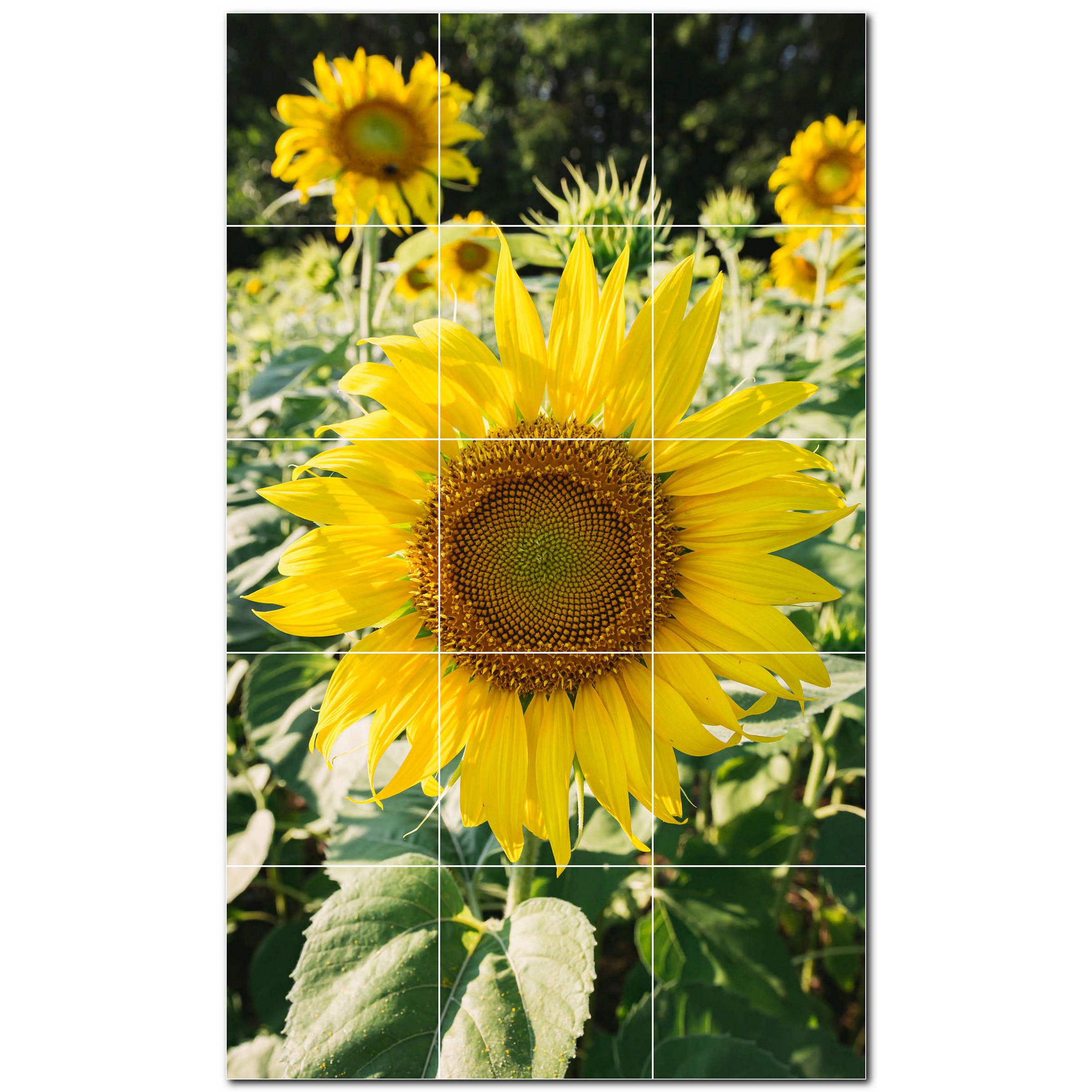 Picture-Tiles.com 12'' x 12'' Satin Ceramic Decorative Mural | Wayfair