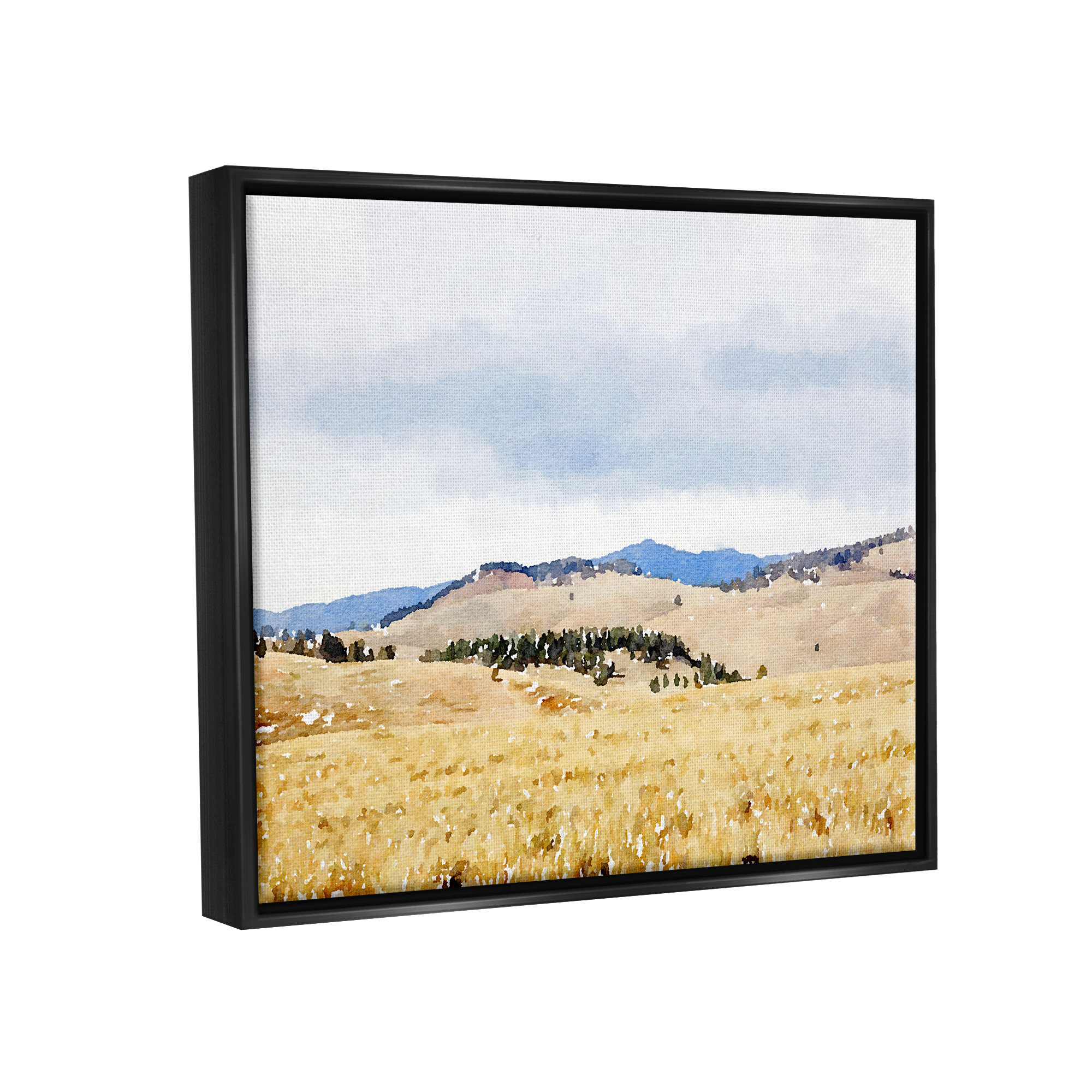 Stupell Industries Grassy Plateau Vasty Countryside Floater Canvas Wall ...