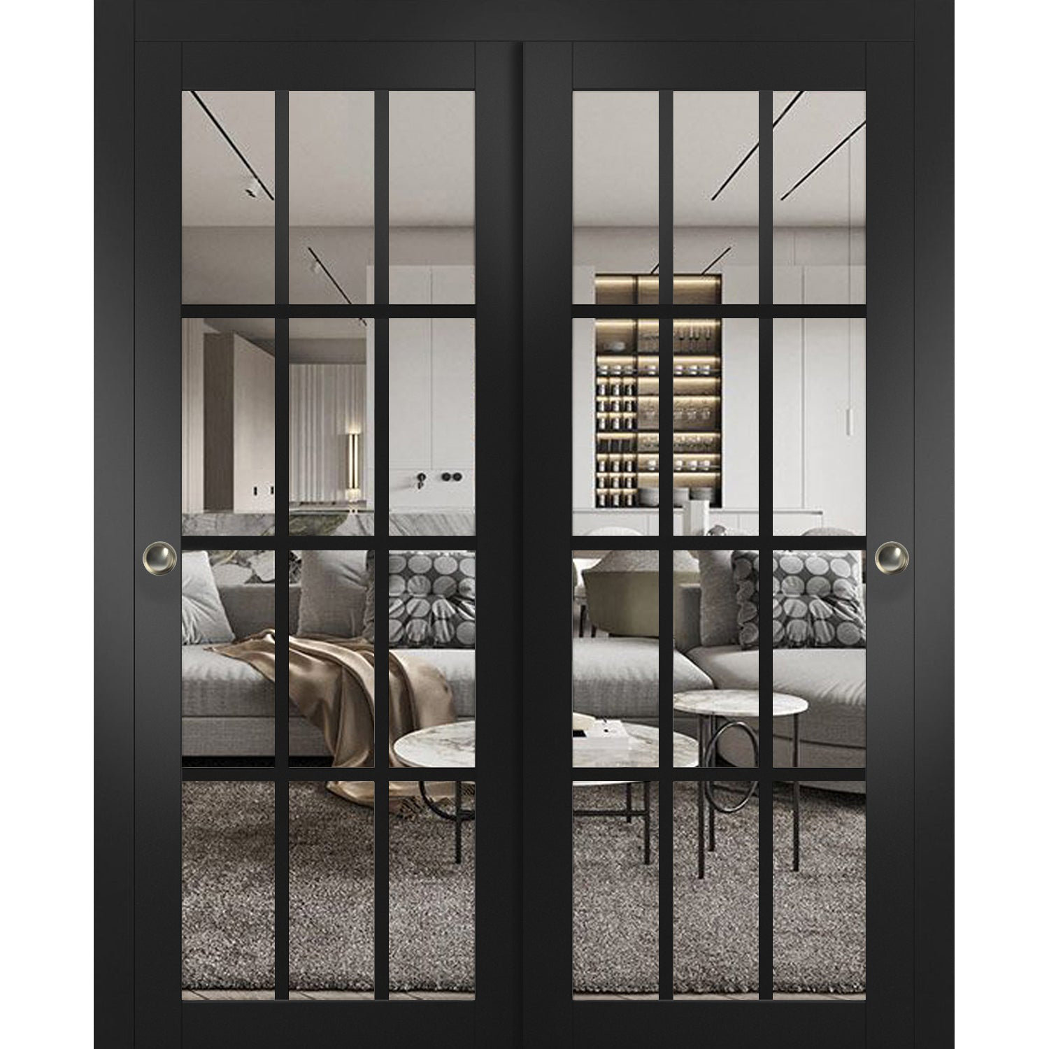SARTODOORS Felicia Clear Glass Sliding Closet Black Doors - Wayfair Canada