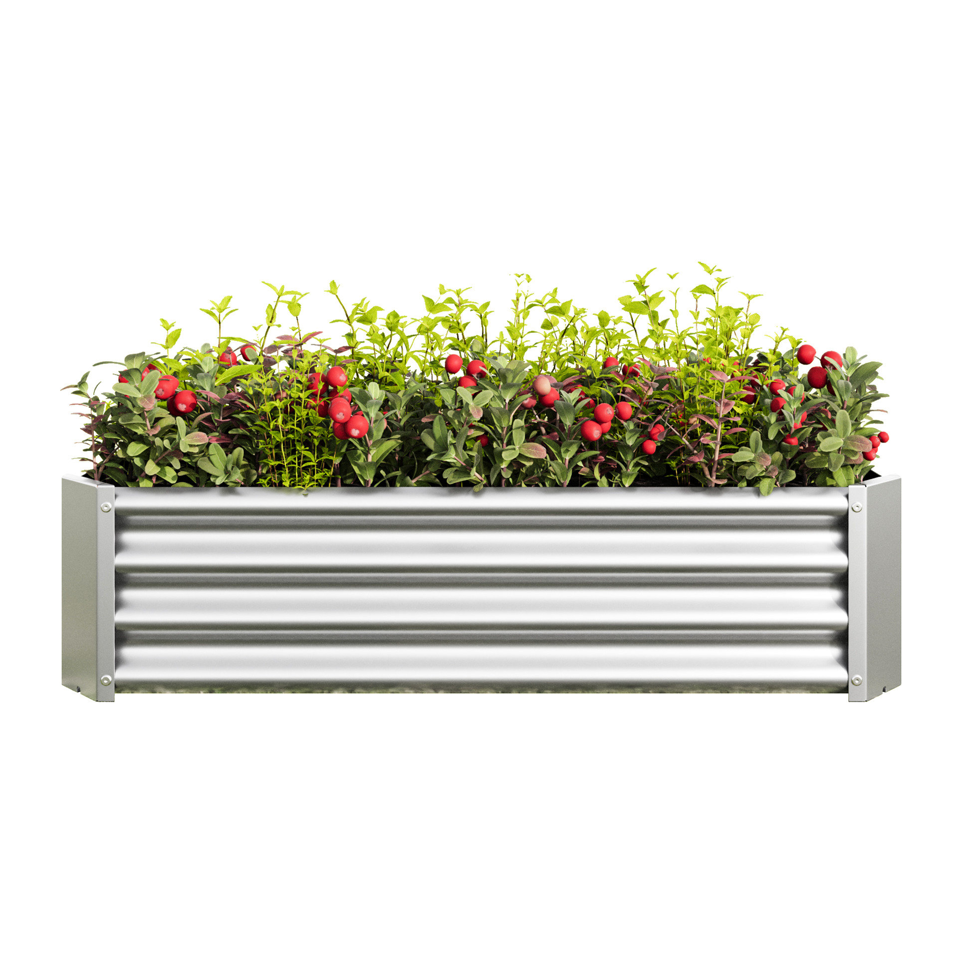 Latitude Run® Rectangle 421Ft Metal Raised Planter For Plants ...