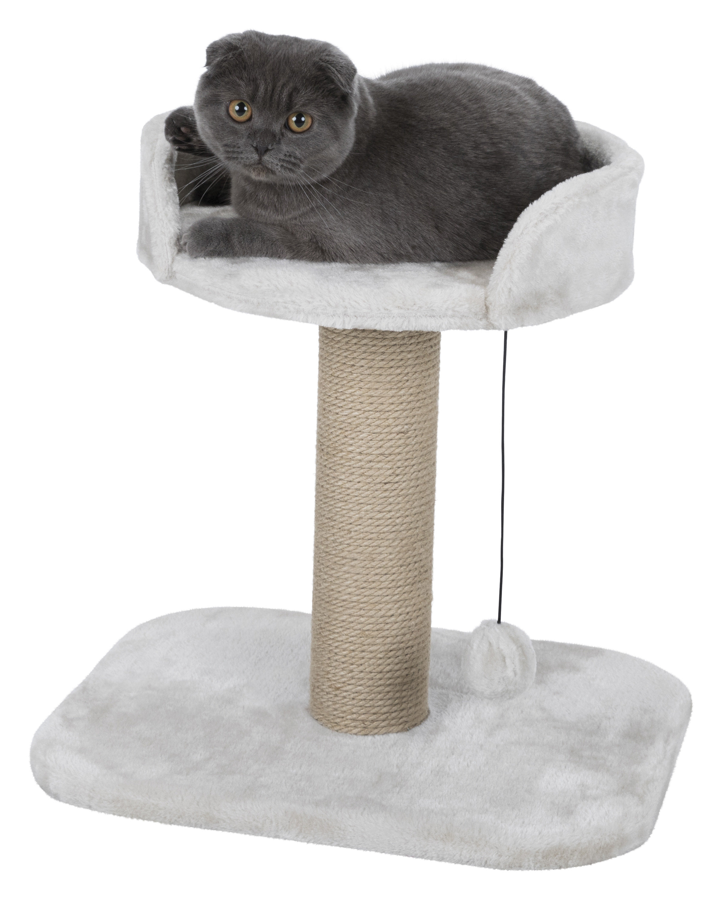TRIXIE Mica 18-in Cat Tree for Kittens, Sisal Scratching Post, Padded ...