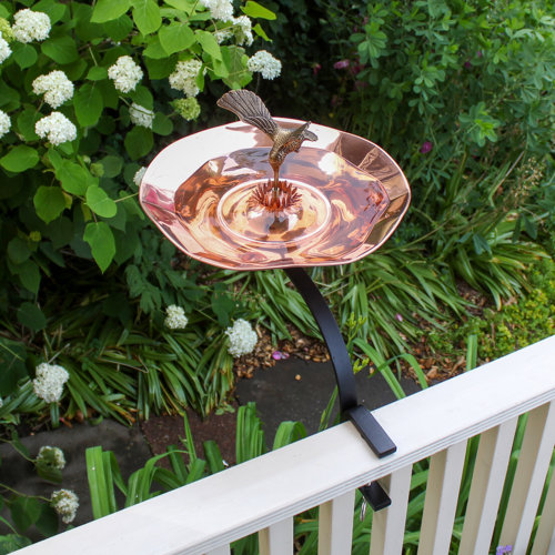 Ophelia & Co. Hummingbird Birdbath with Rail Mount Bracket | Wayfair
