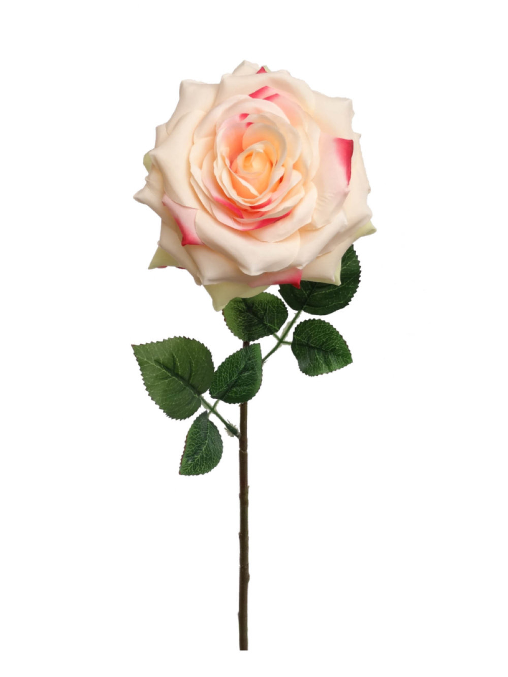 Primrue Vibrant Roses Stem | Wayfair