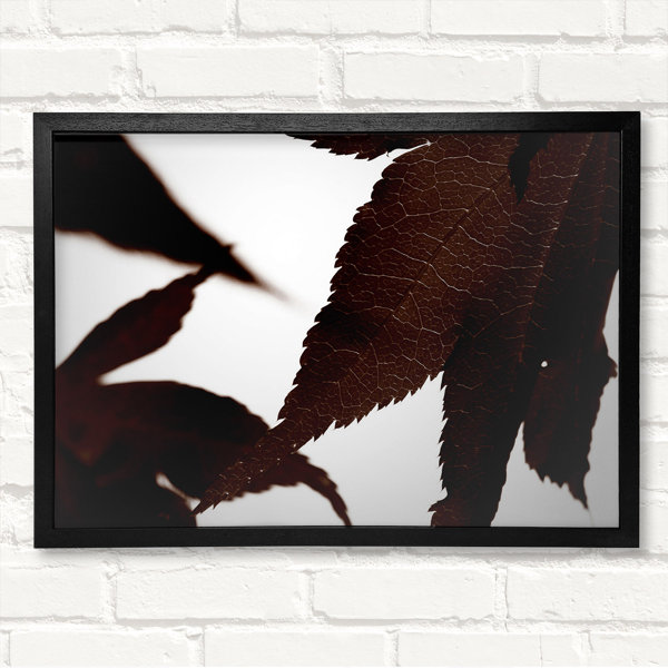 Ivy Bronx Brown Autumn Leaf Framed Print | Wayfair.co.uk