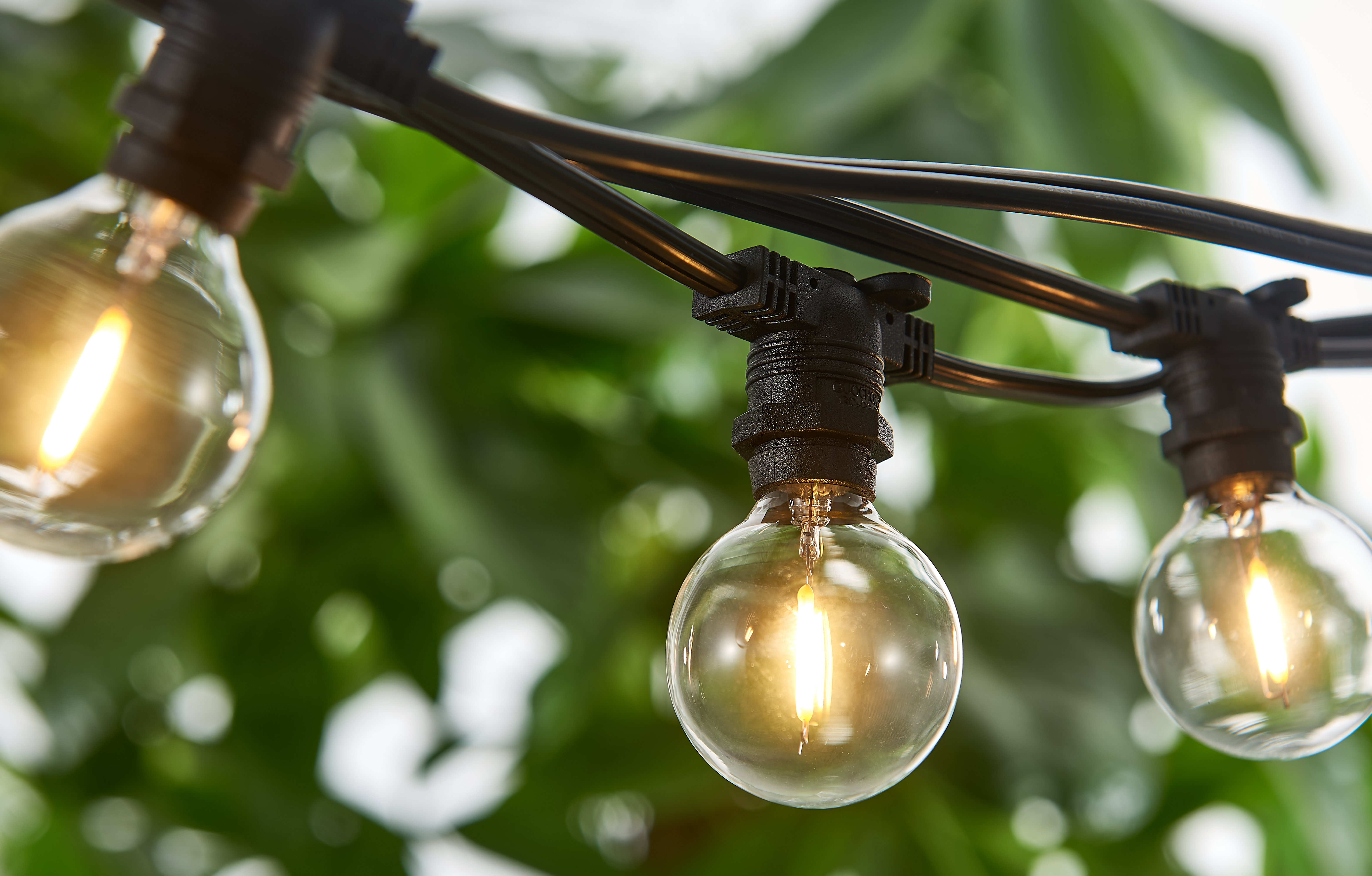 The Holiday Aisle® Alsen 29' 25 - Bulb Globe String Light & Reviews ...