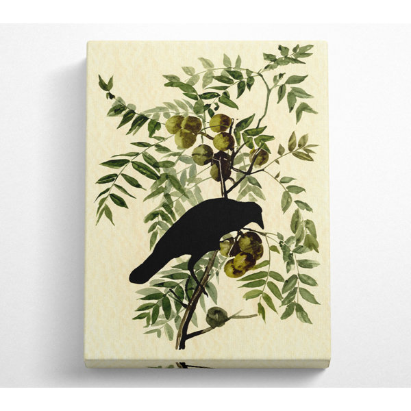 Marlow Home Co. Audubon American Crow Plate 156 - Wrapped Canvas Art ...