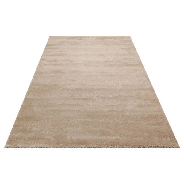 Ebern Designs Morgandy Modern Machine Woven Beige Indoor / Outdoor Area ...