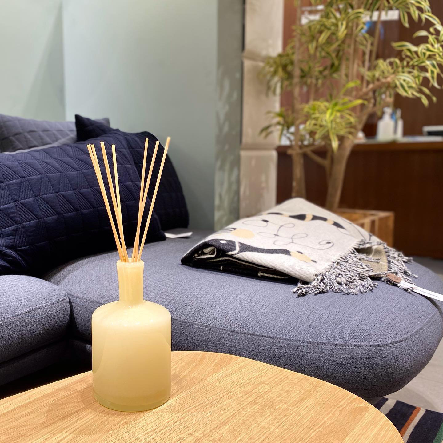 LAFCO New York No Power Source Required / Manual Reed Diffusers And ...