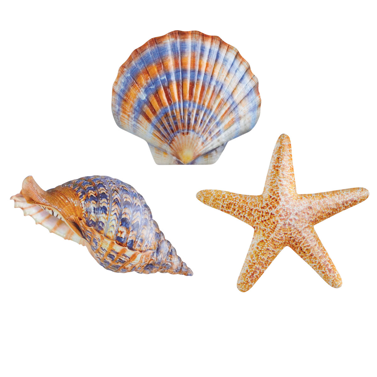 Highland Dunes Coastal Seashell Metal Wall Decor - Set Of 3 | Wayfair