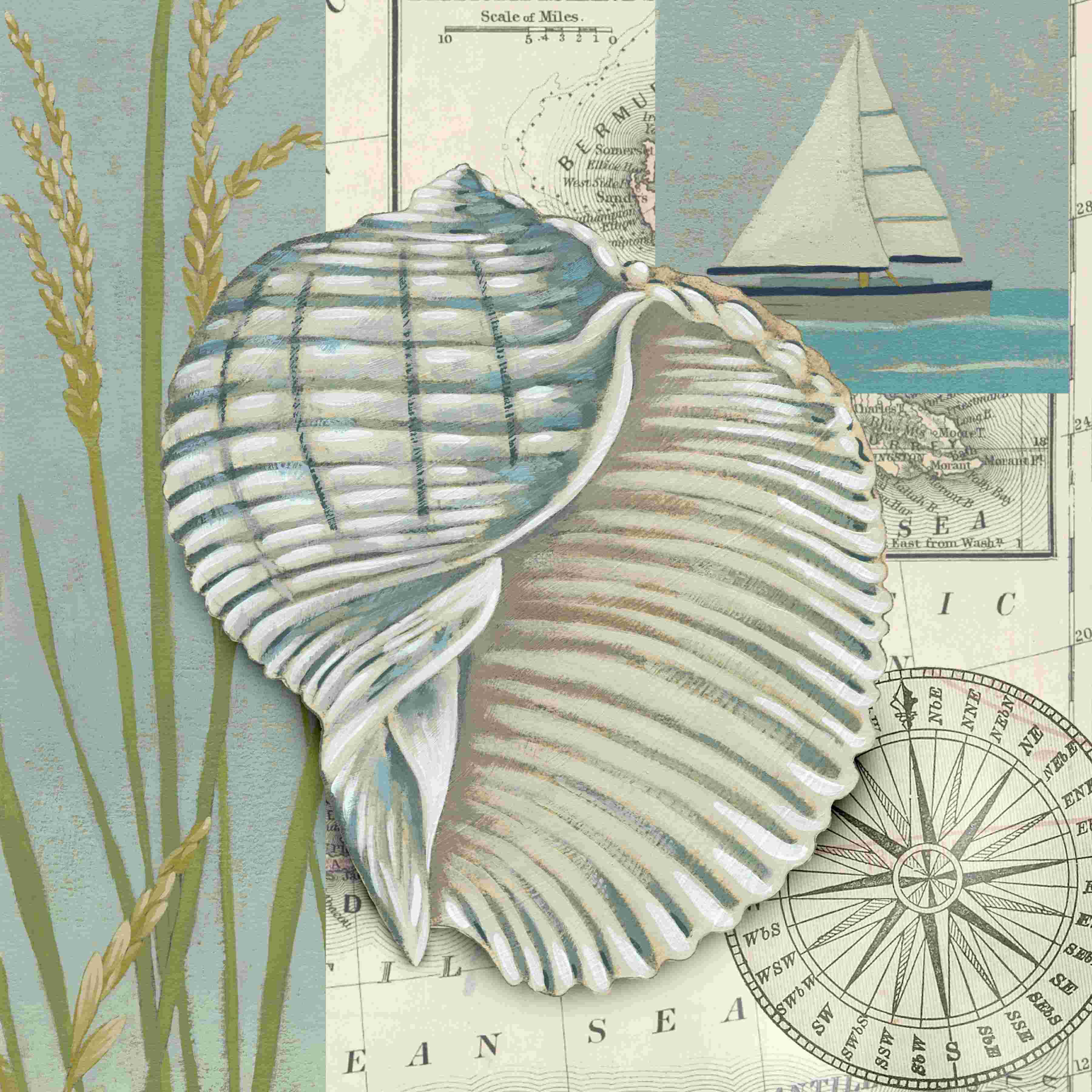 Rosecliff Heights Seaside Shell I - Wayfair Canada