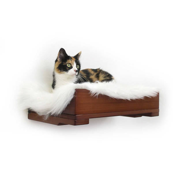 CatastrophiCreations Designer Rectangle Cat Bed | Wayfair