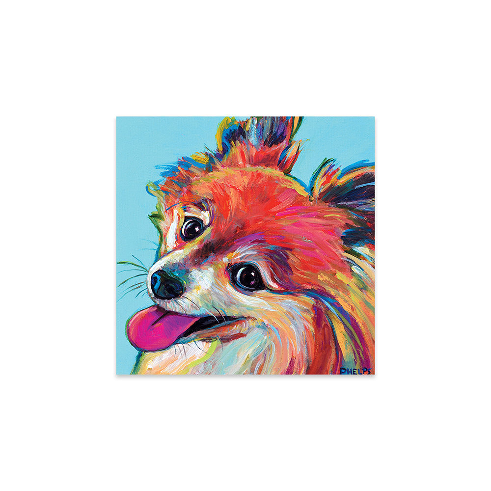 Red Barrel Studio® Pomeranian On Plastic / Acrylic by Robert Phelps ...