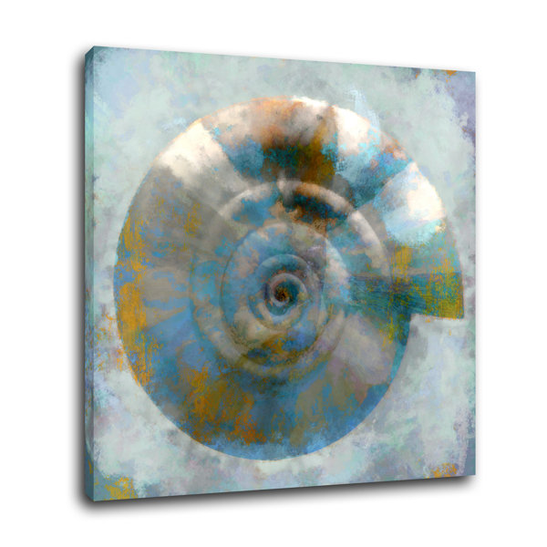 Highland Dunes Sea Shell Study 2 Blue Colorful Nautical Contemporary ...