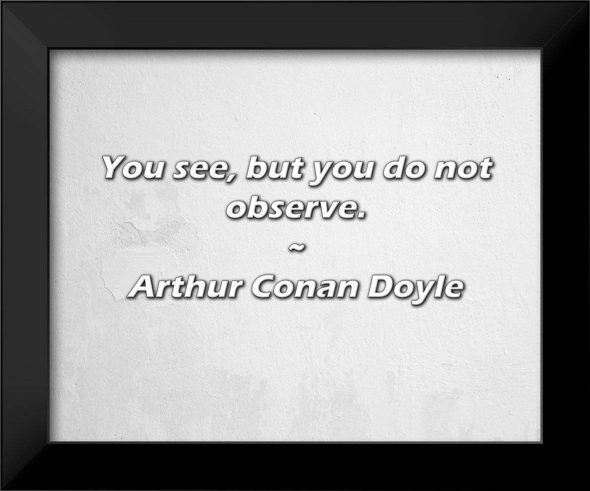 Latitude Run® Arthur Conan Doyle Quote: You see, but you do not observe ...