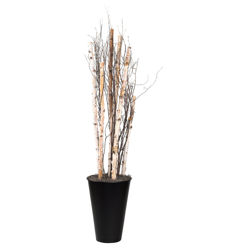 Union Rustic Birch Poles and Birch Tree Tops Metal Plant in Planter ...