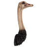 Design Toscano Ostrich Bird Trophy Wall Sculpture & Reviews | Wayfair