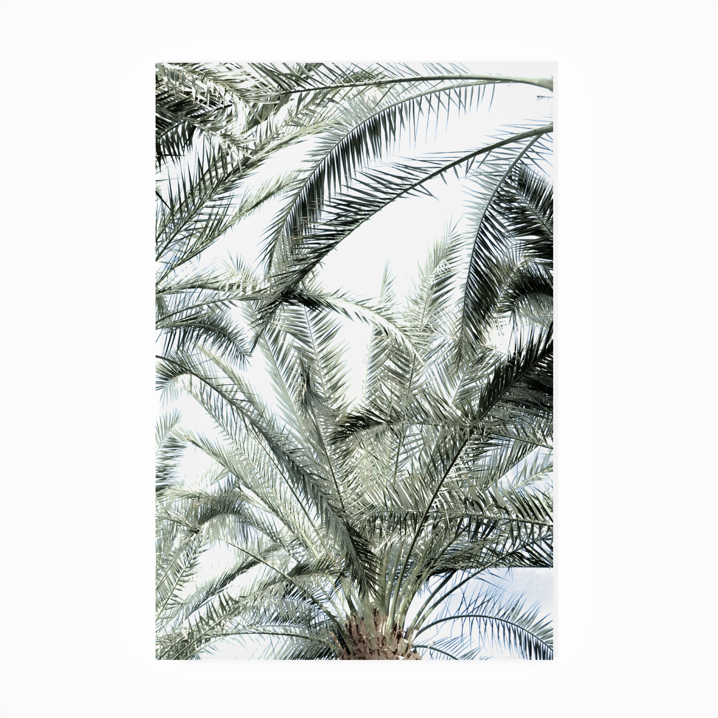 Bayou Breeze Blue Palomino ''Palm Crown'' Outdoor All-Weather Wall ...