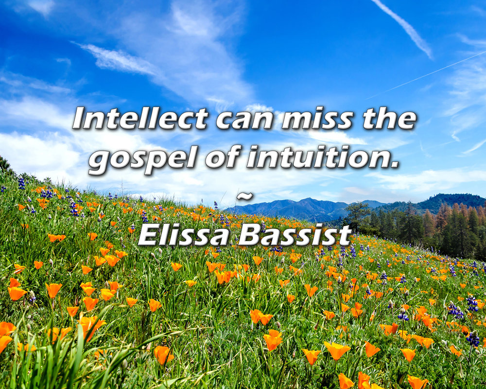 Trinx Elissa Bassist Quote: Intellect can miss the gospel of intuition ...