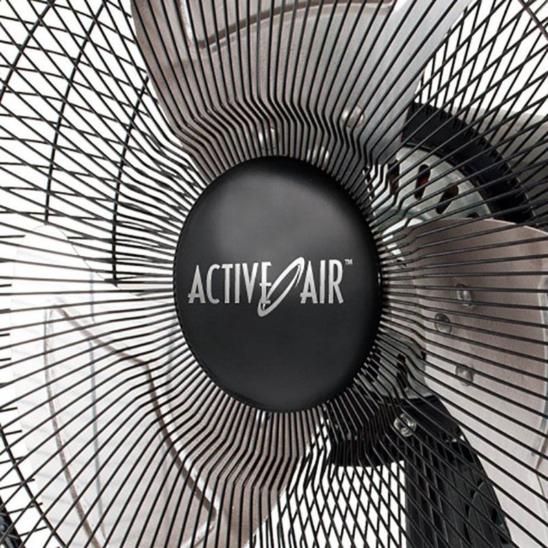 Hydrofarm Active Air ACFW16HDB Metal Wall Mountable Oscillating Fan ...