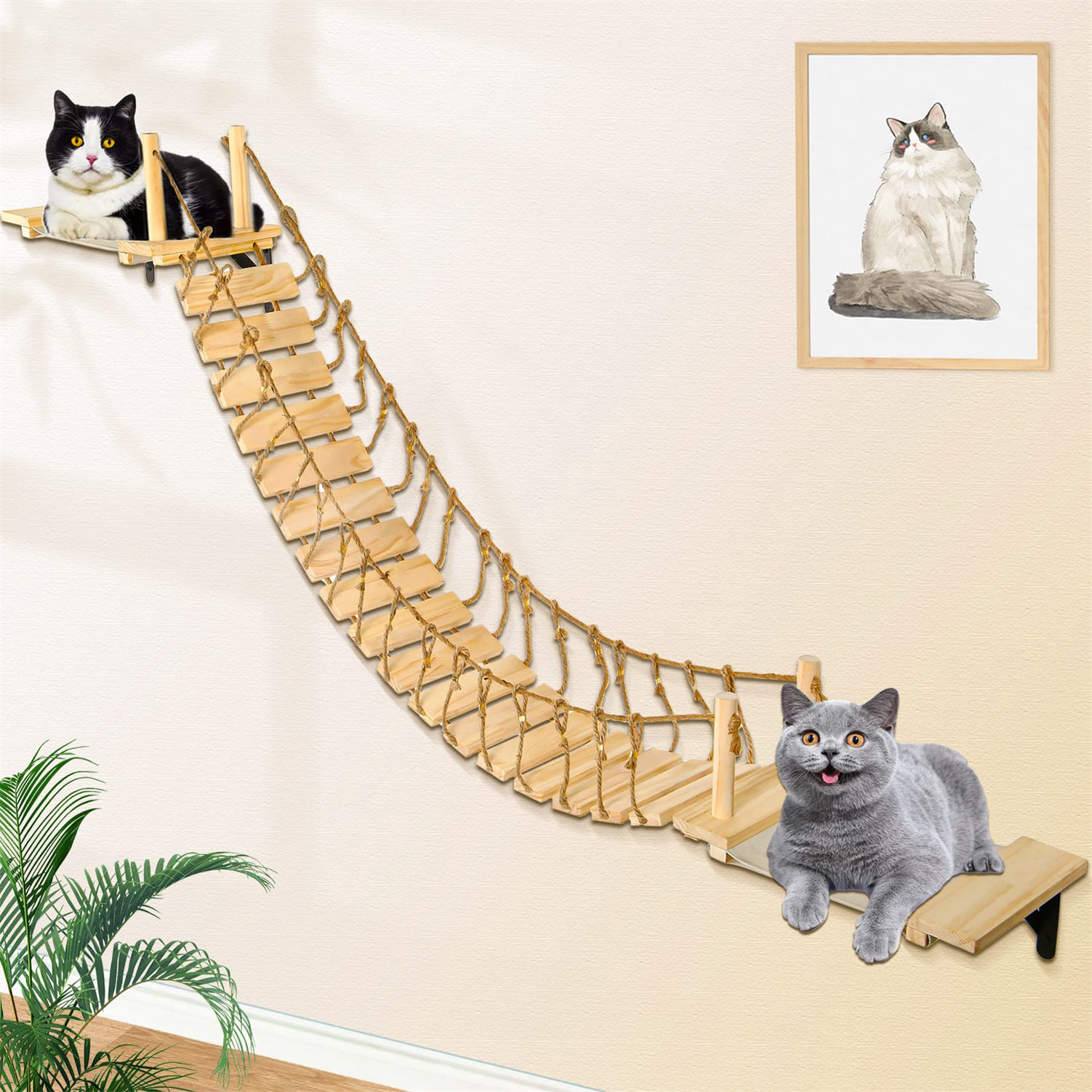 Tucker Murphy Pet™ Deluxe Cat Wall Bridge Set - Hand-Crafted Iron ...